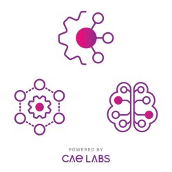 IT Infrastructure Solutions | CAE Technology Services